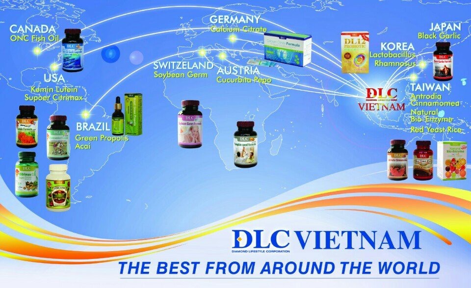 Giới thiệu - DLC Việt Nam